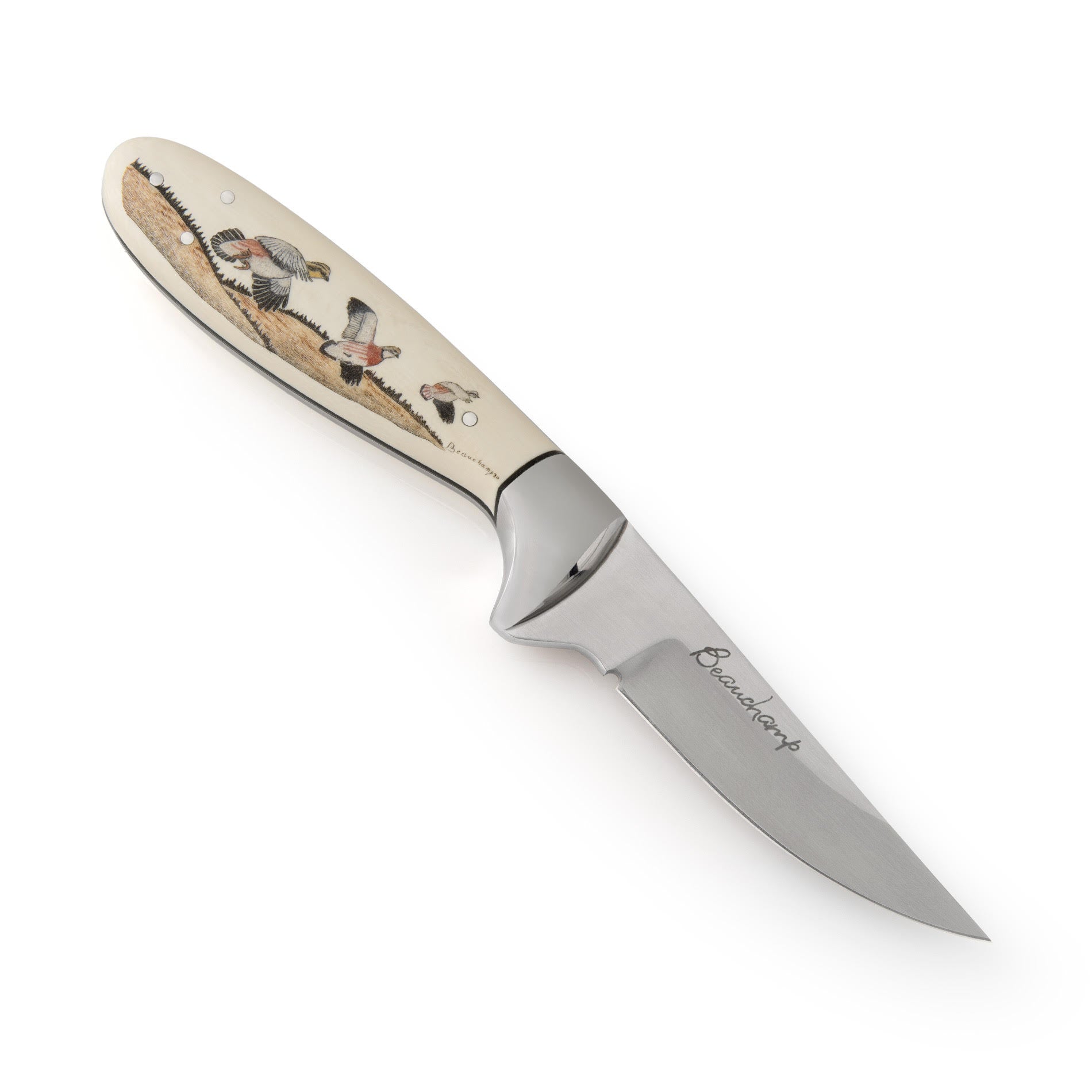 Quails knife – Beauchamp Knives