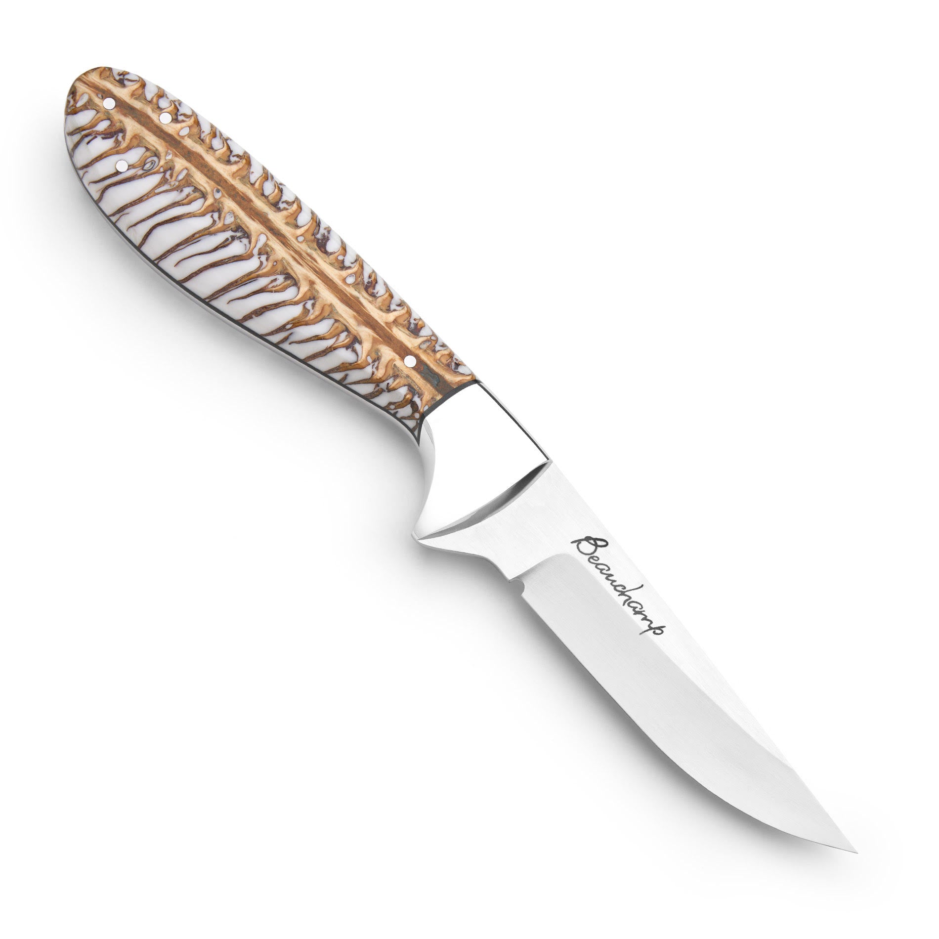 White Pine Cone Knife – Beauchamp Knives